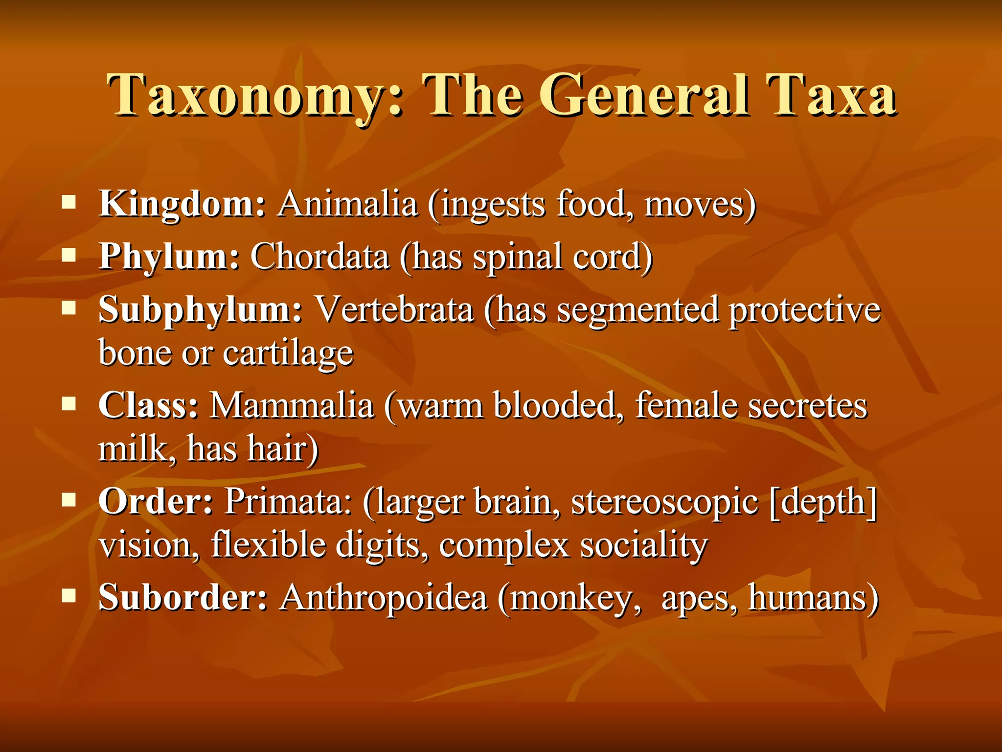 Human Biological and Cultural Evolution. | PPT