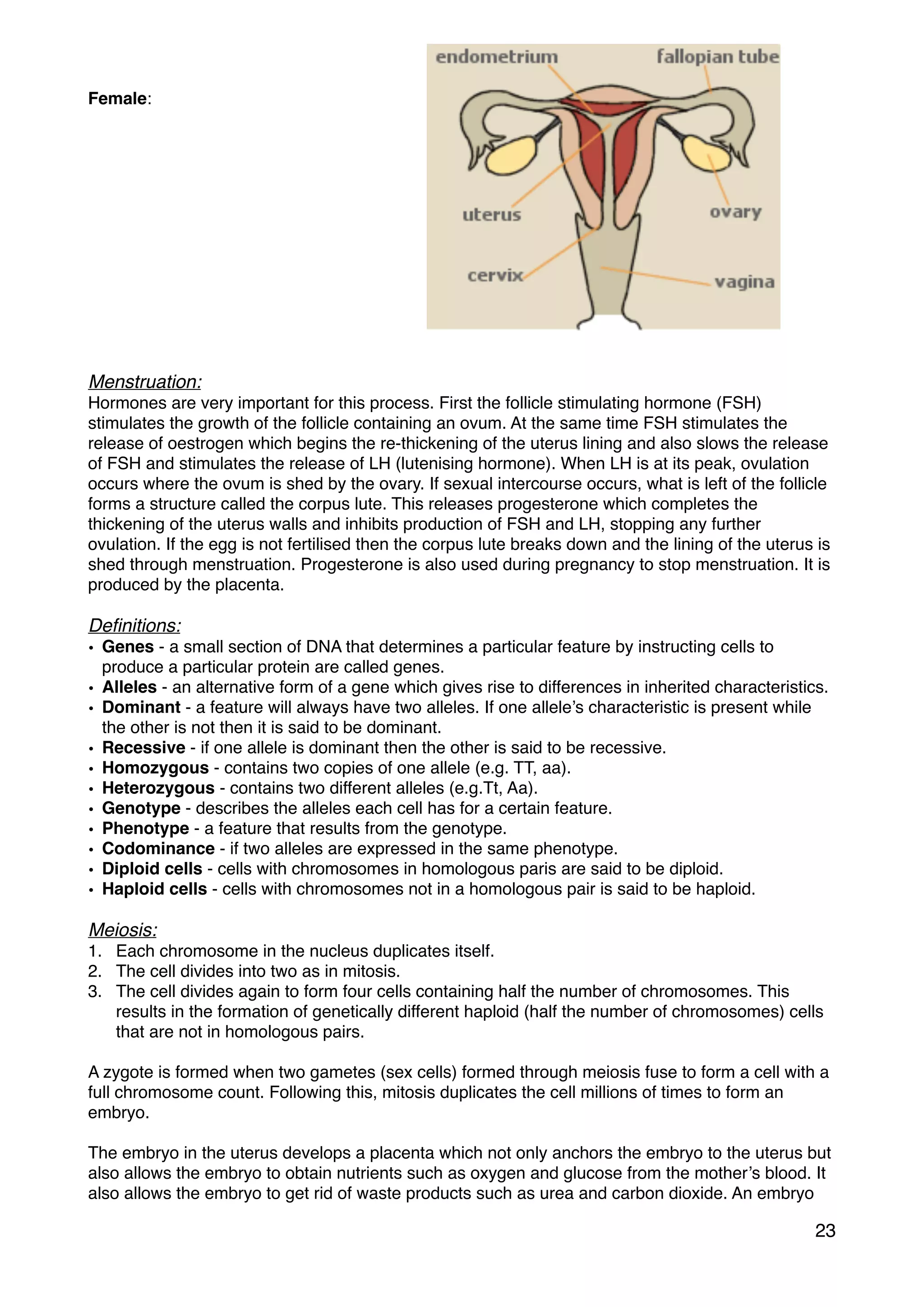 Human biology-edexcel-igcse | PDF