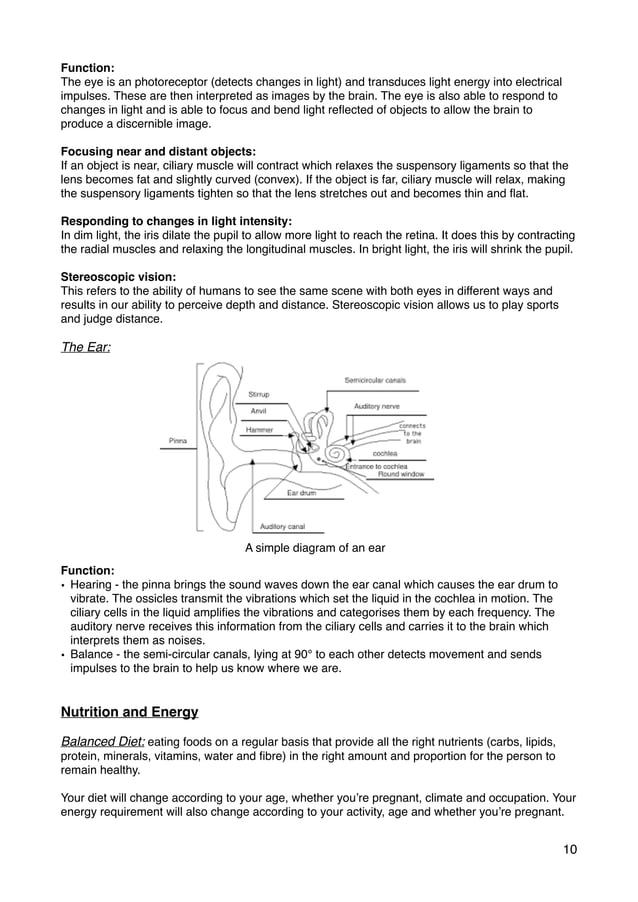 Human biology-edexcel-igcse | PDF
