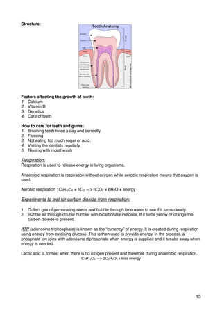 Human biology-edexcel-igcse | PDF