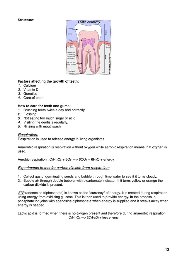 Human biology-edexcel-igcse | PDF