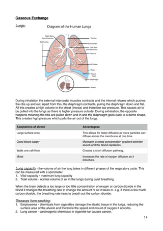 Human biology-edexcel-igcse | PDF