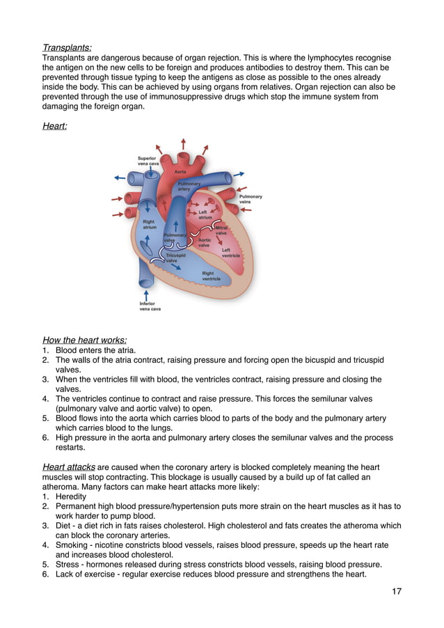 Human biology-edexcel-igcse | PDF