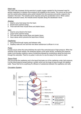 Human biology-edexcel-igcse | PDF