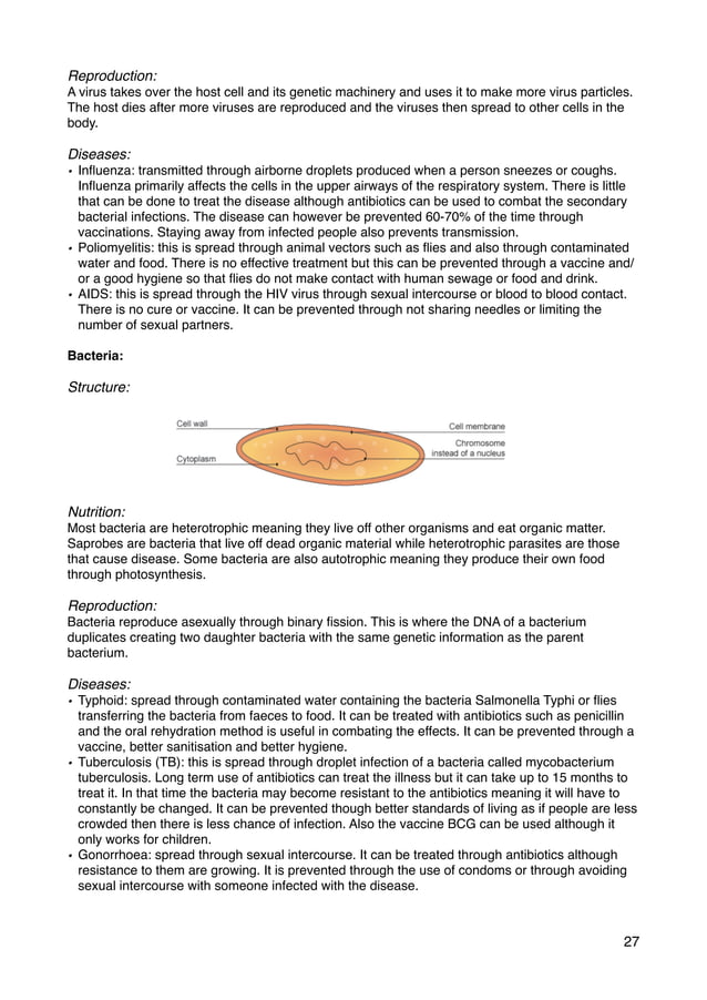 Human biology-edexcel-igcse | PDF