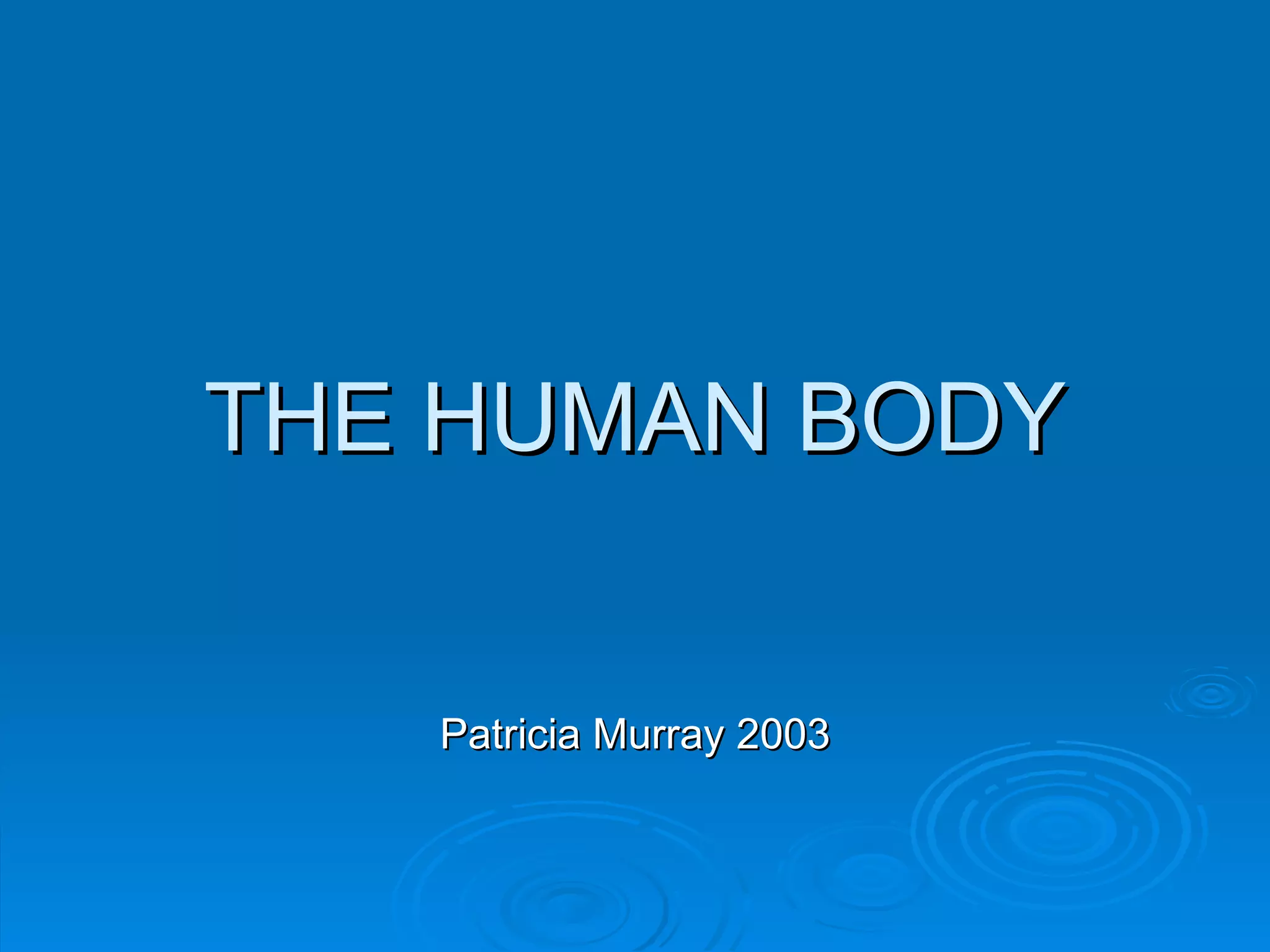 Human Body | PPT