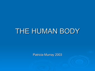 Human Body | PPT