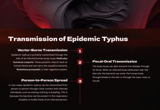 Human-Body-Louse-Disease caused by lice | PDF