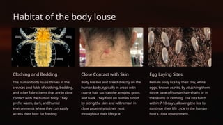 Human-Body-Louse-Disease (1).pptx vector an diseases | PPT