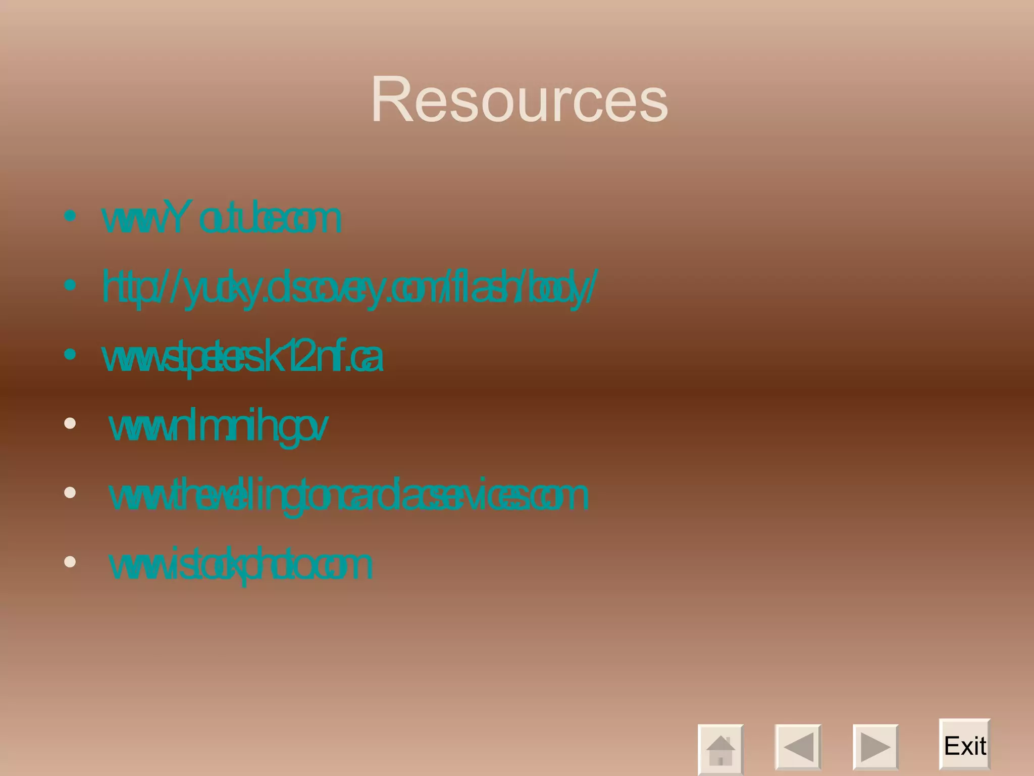 The Human Body System | PPT