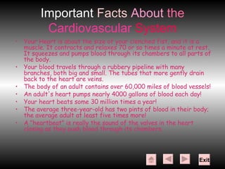 The Human Body System | PPT