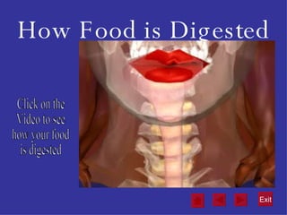 The Human Body System | PPT