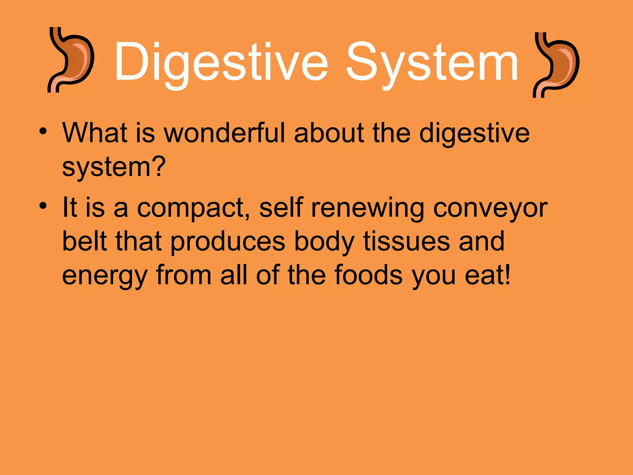 Human Body Systems Presentation | PPT | Fitness and Exercise | Healthy ...