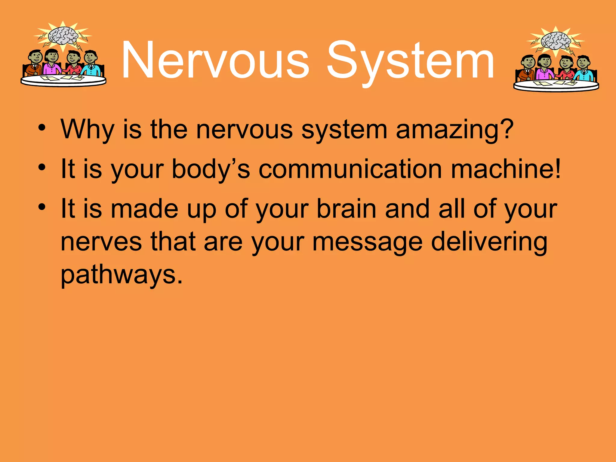 Human Body Systems Presentation | PPT | Fitness and Exercise | Healthy ...