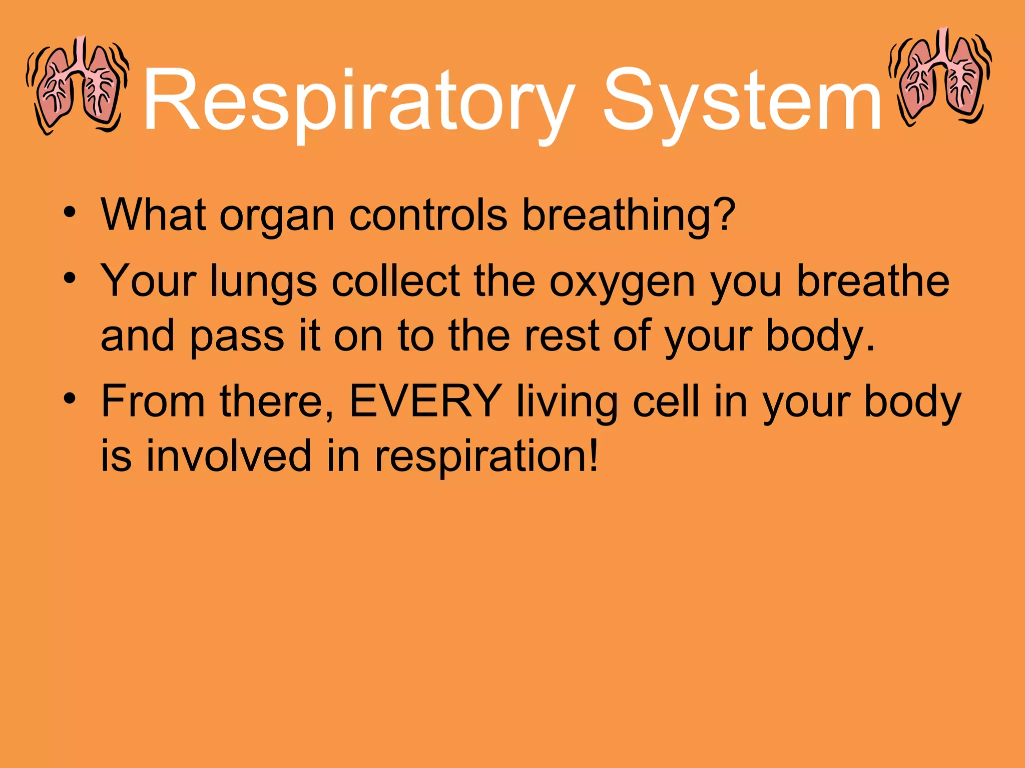 Human Body Systems Presentation | PPT