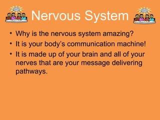 Human Body Systems Presentation | PPT