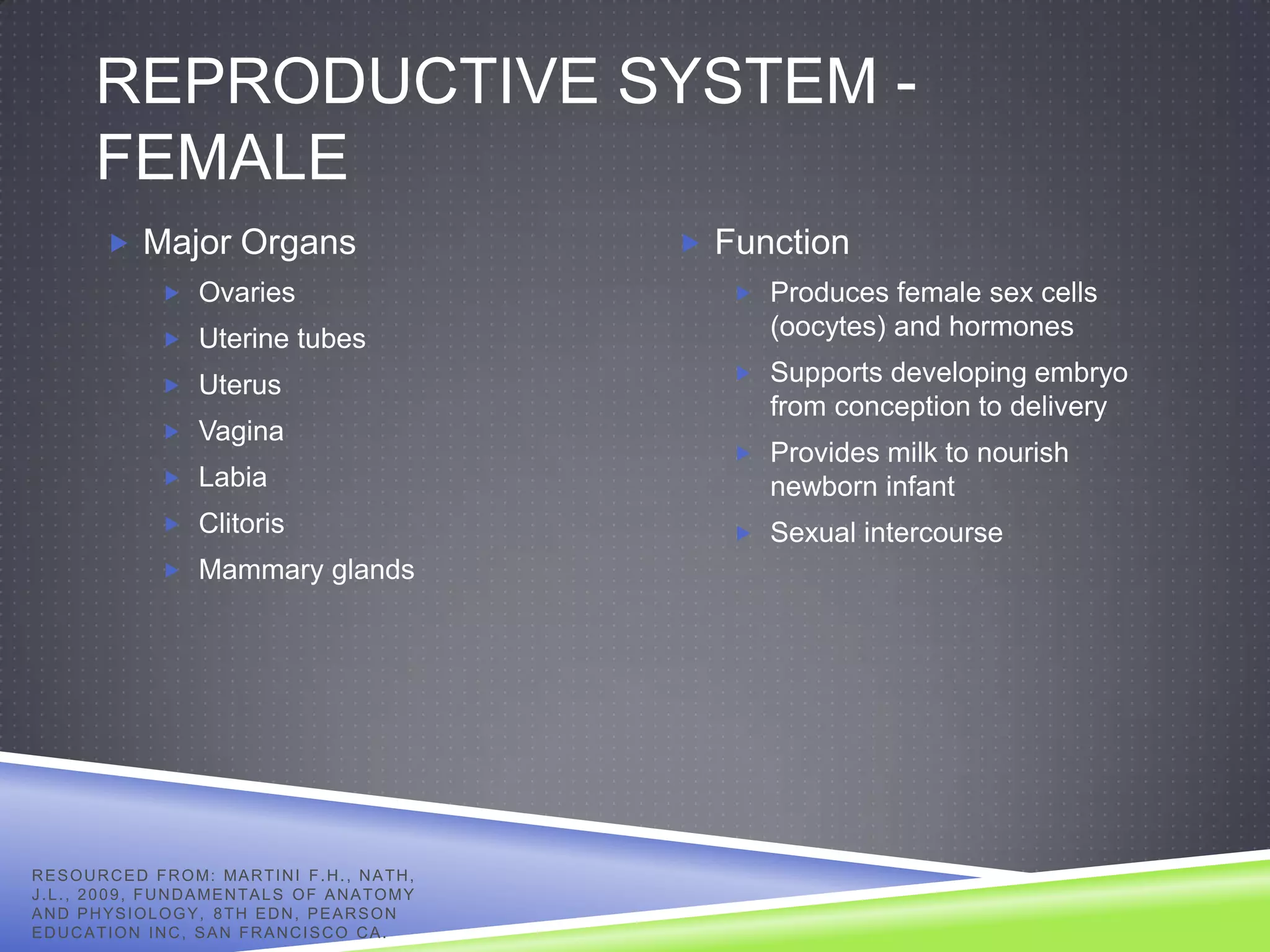 Human Body Systems & Major Organs | PPTX