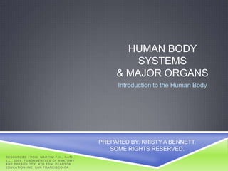 Human Body Systems & Major Organs | PPTX