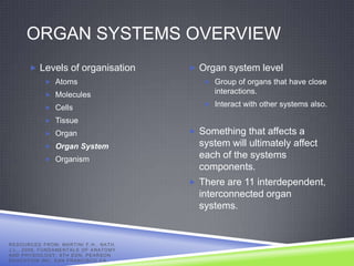 Human Body Systems & Major Organs | PPTX