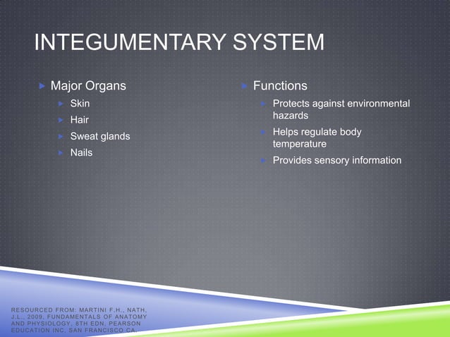 Human Body Systems & Major Organs | PPTX | Lung and Respiratory Health ...