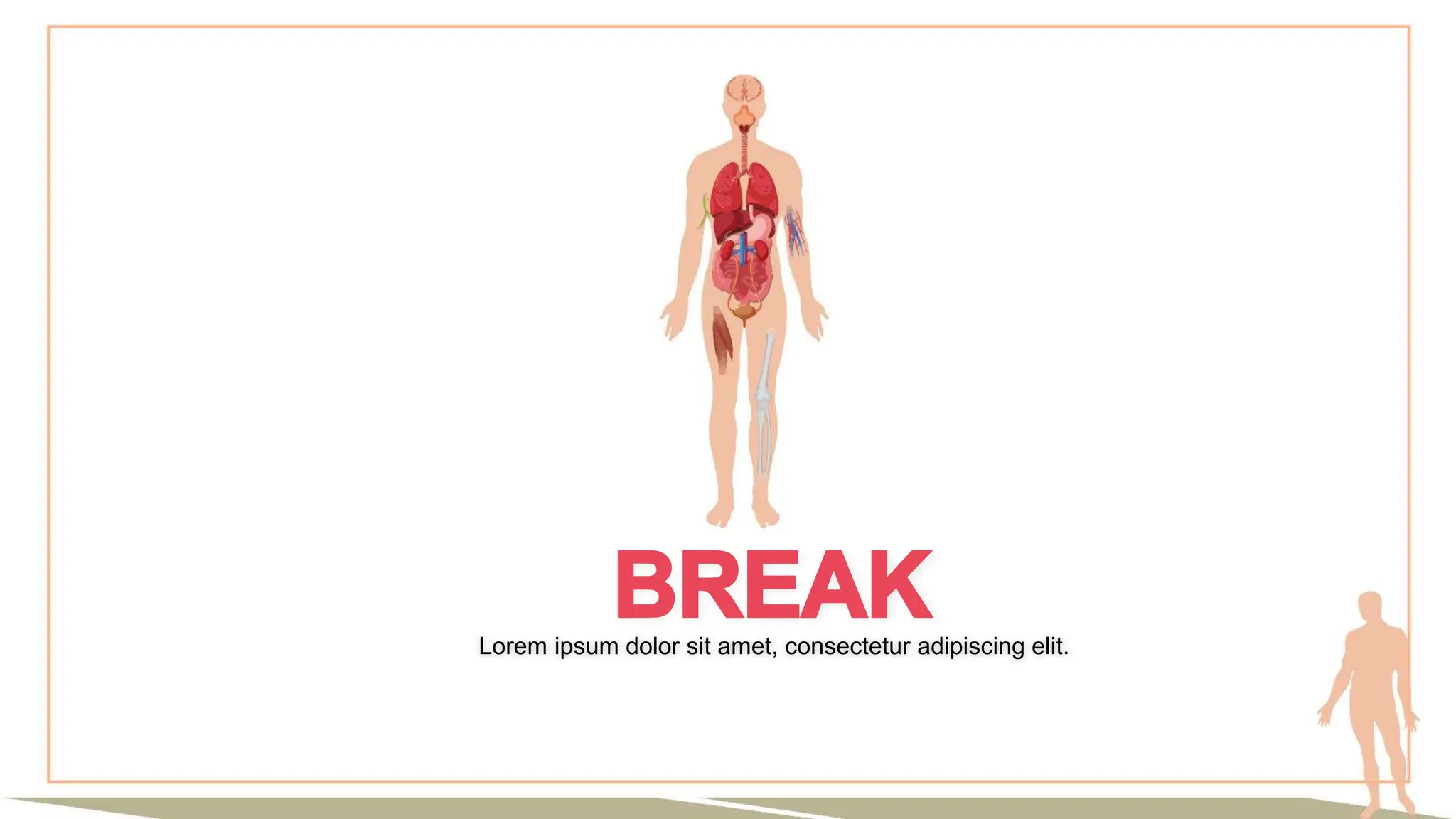 Human-Body-Template del cuerpo humano ss | PPT