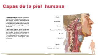 Human-Body-Template del cuerpo humano ss | PPT