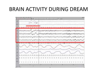Human brain | PPTX