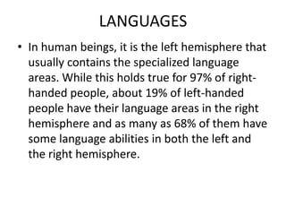 Human brain | PPTX