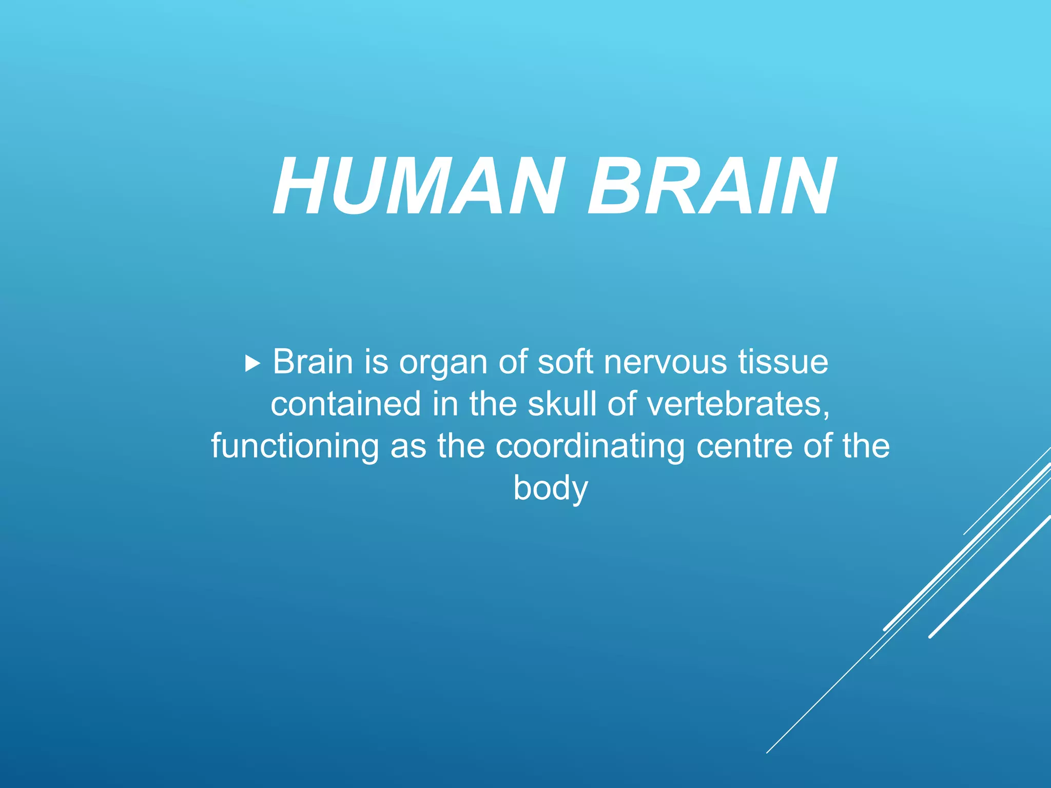 The Human Brain, Its Parts and Functions | PPTX