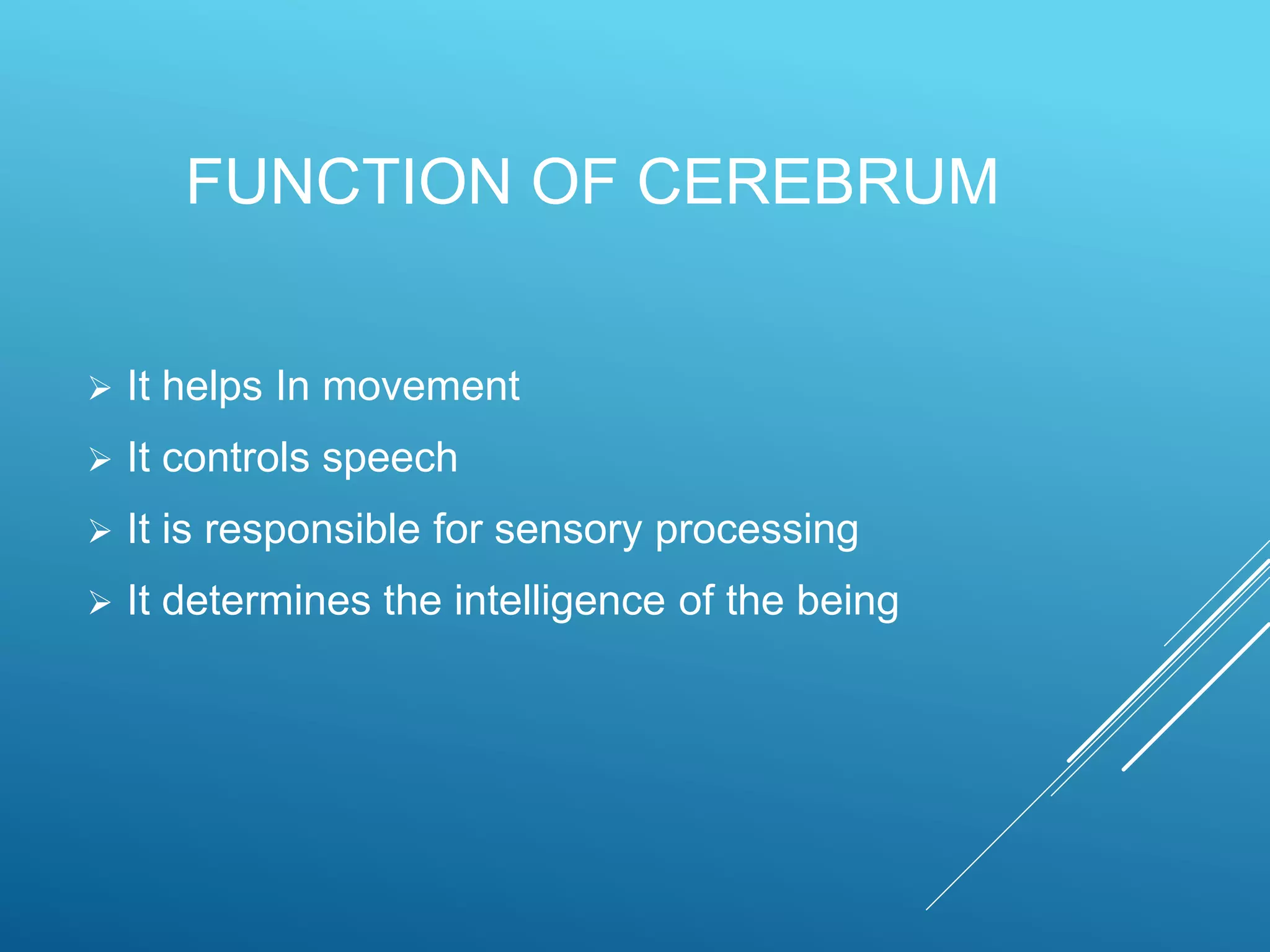 The Human Brain, Its Parts and Functions | PPTX