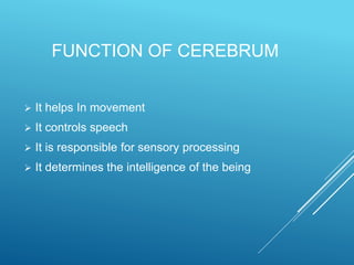 The Human Brain, Its Parts and Functions | PPTX