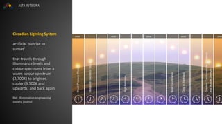 Human Centric Lighting for Productivity | PDF | Eye and Vision ...