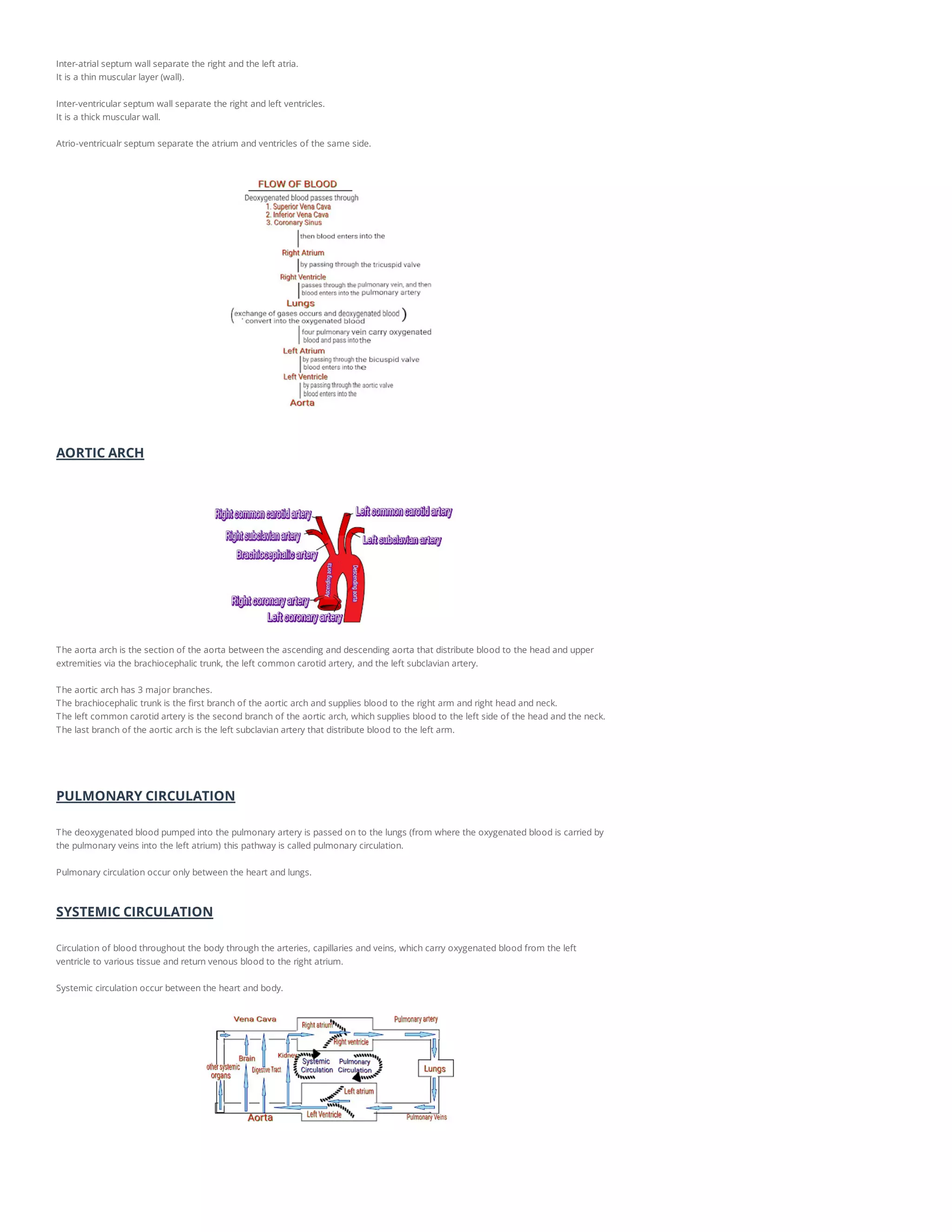 Human Circulatory System/ Blood Vascular System | PDF