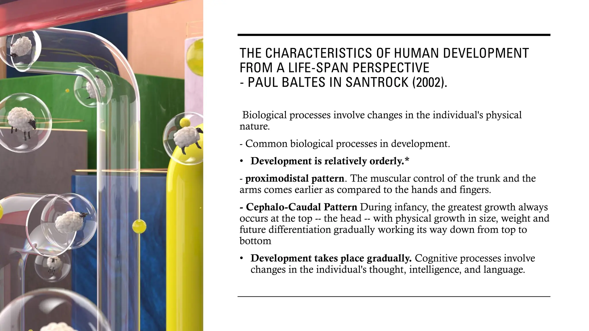 Human-Development.pdf in child adolescent | PDF