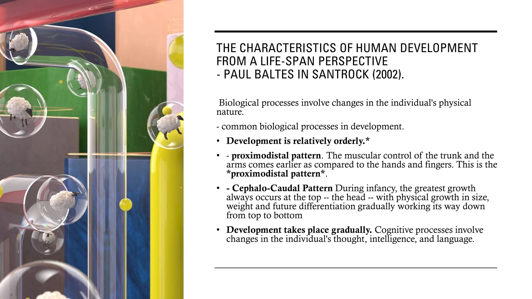 Human-Development.pdf in child adolescent | PDF