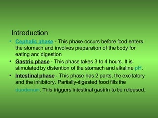 Human Digestion Process C.Alcaide | PPT