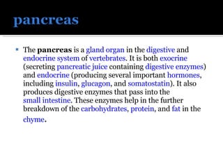 Human Digestive Process | PPT