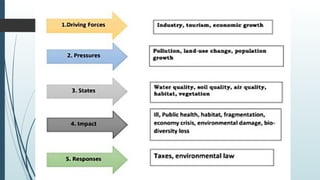 Grade11Human-Environment System DISS.pptx