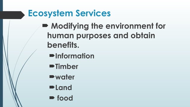 Grade11Human-Environment System DISS.pptx
