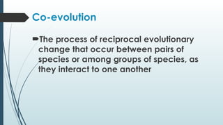 Grade11Human-Environment System DISS.pptx