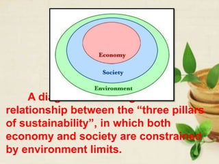 human-environmentsystemppt-180213152600.pptx