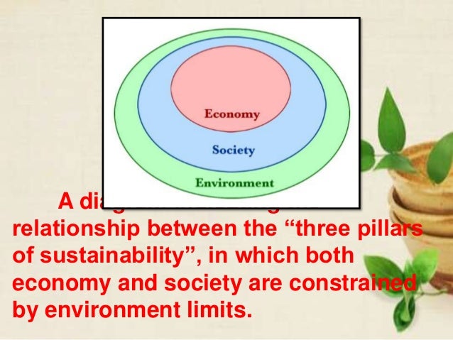 Human environment system ppt