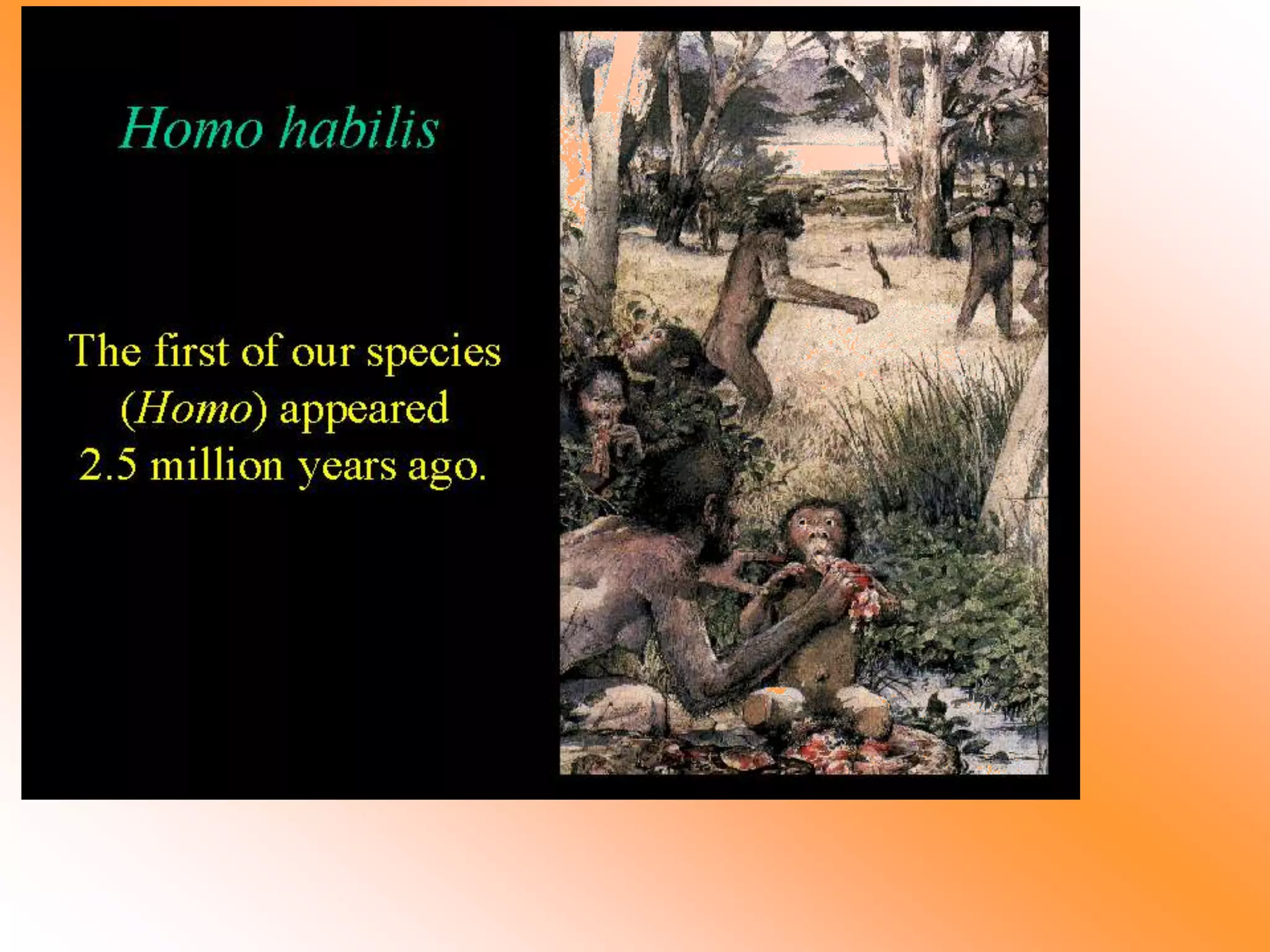 human-evolution.pptx