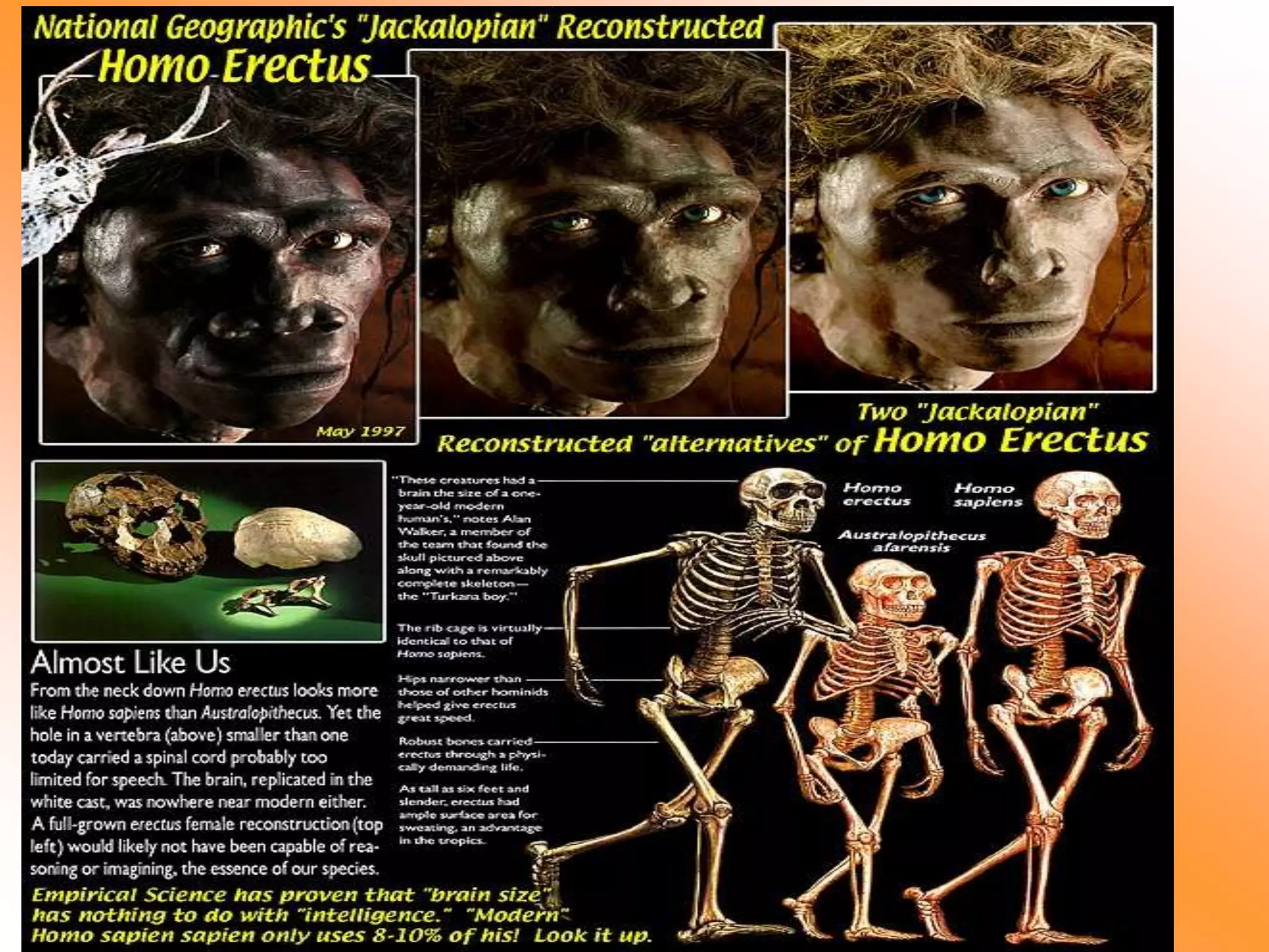 human-evolution.pptx