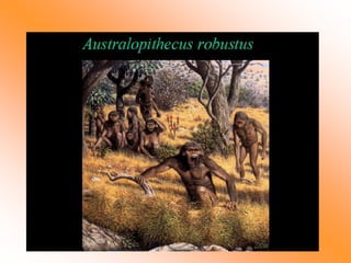 human-evolution.pptx