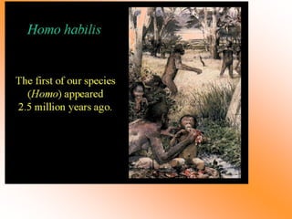 human-evolution.pptx