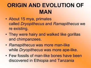 human-evolution.pptx