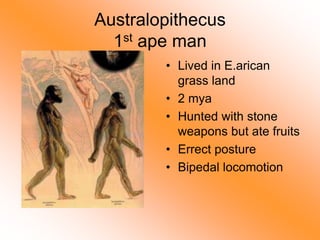 human-evolution.pptx