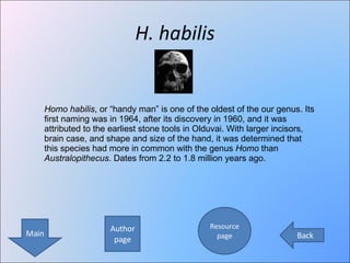 Human Evolution Interactive Powerpoint Presentation | PPT