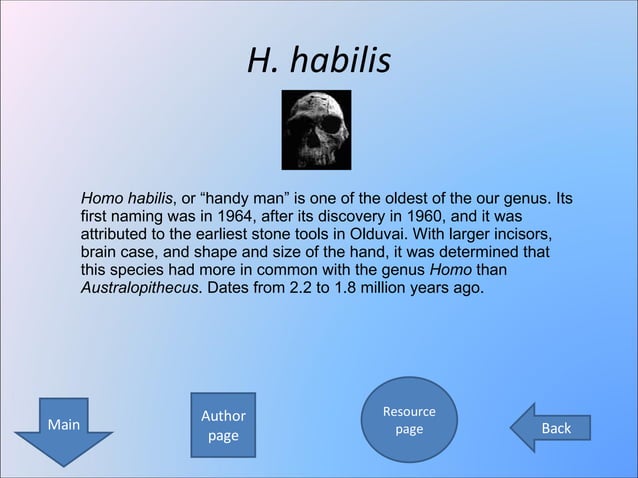 Human Evolution Interactive Powerpoint Presentation | PPT